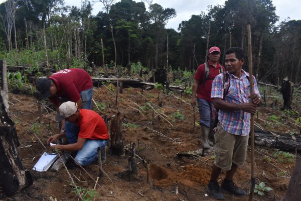 MoIPA provides Technical Assistance to farmers of Moruca ...